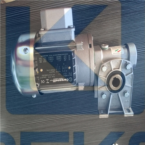 STM Reducer RMI28S 1/15 + 0.06KW motor