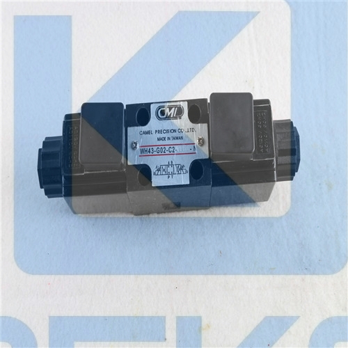 WH43-G02-C2-A110N CML VALVE