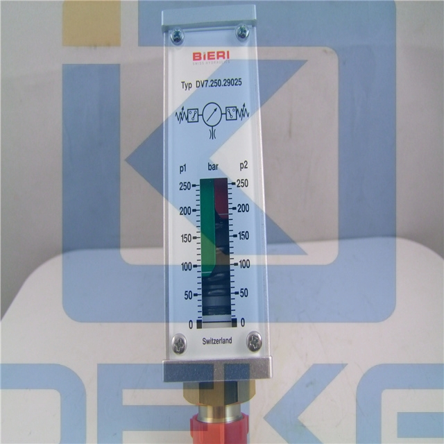 BIERI PRESSURE SWITCH DV7.250.29025