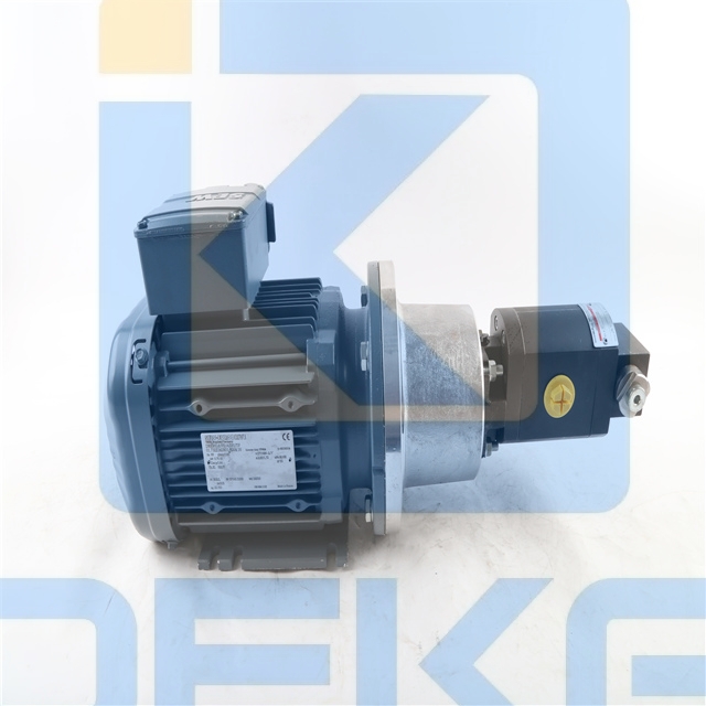 Beinlich Pump BP 10002053 with Motor 0.75KW